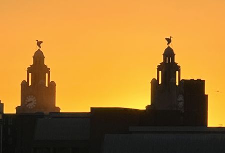 Home | Left Bank Pictures